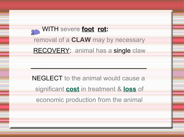 Disease Process in Animals: Foot Rot in Cattle | PPT | Foot Health ...