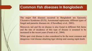 Disease: a major constraints in the flourishing aqua farm in Bangladesh ...