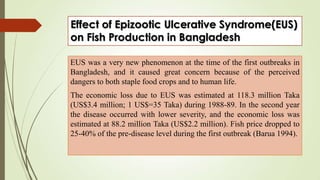 Disease: a major constraints in the flourishing aqua farm in Bangladesh ...