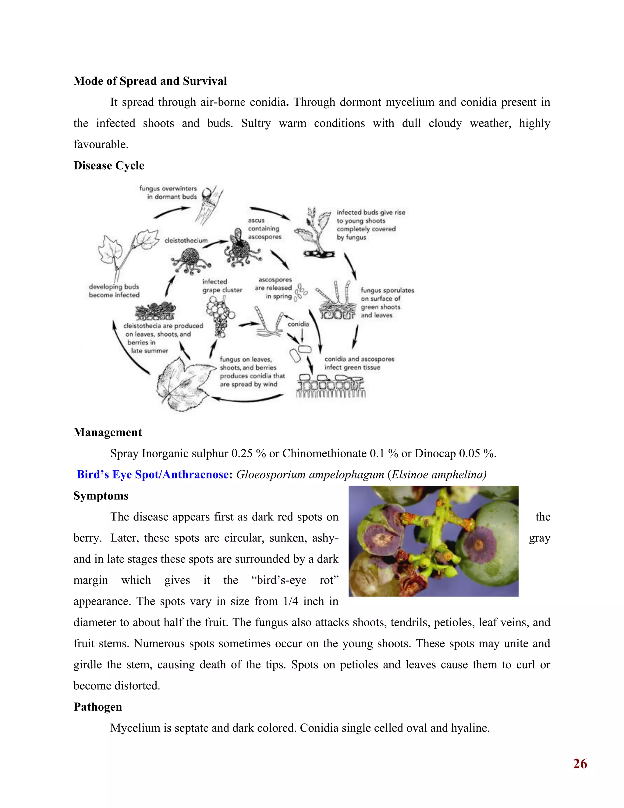 Disease of-horticultural-crops-their-management1 | PDF