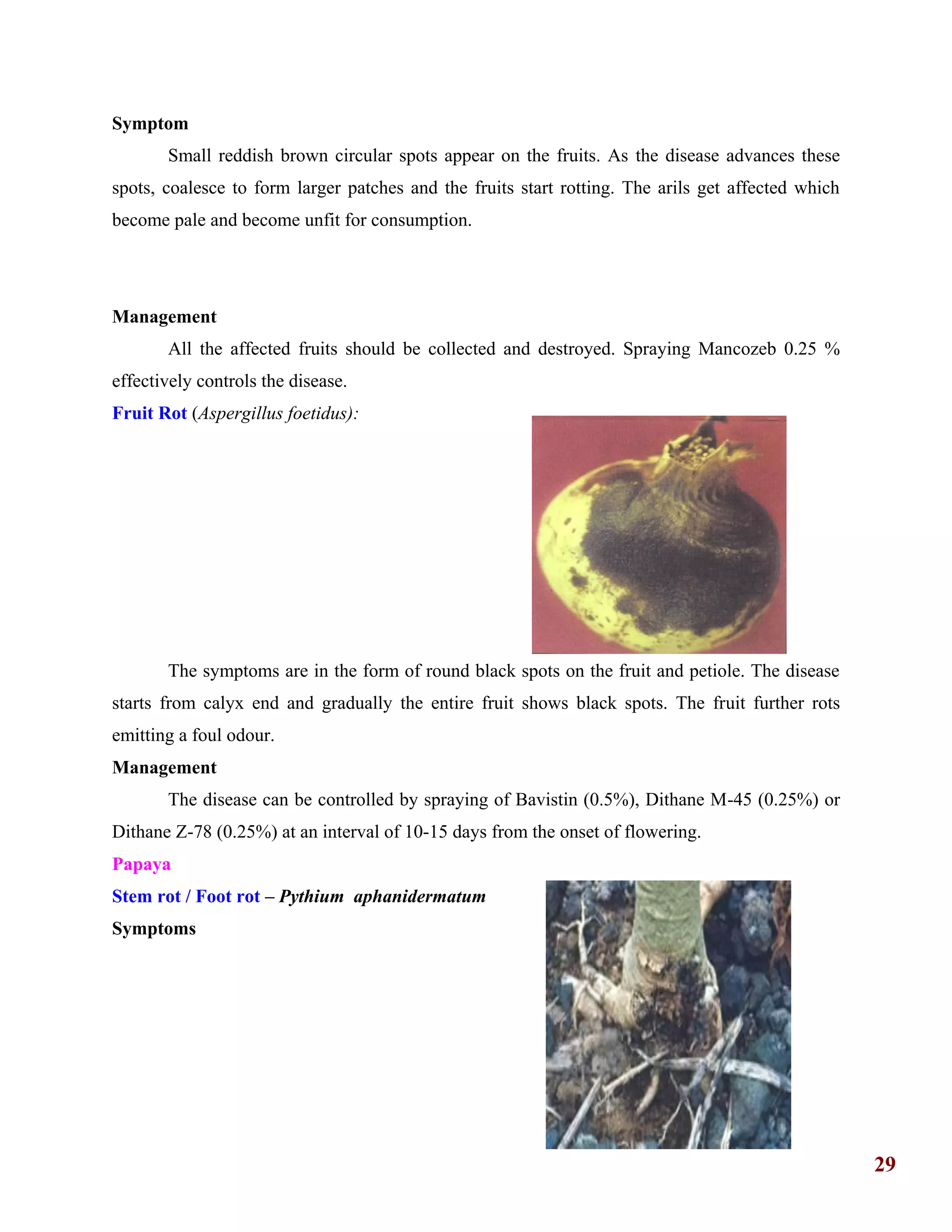 Disease of-horticultural-crops-their-management1 | PDF