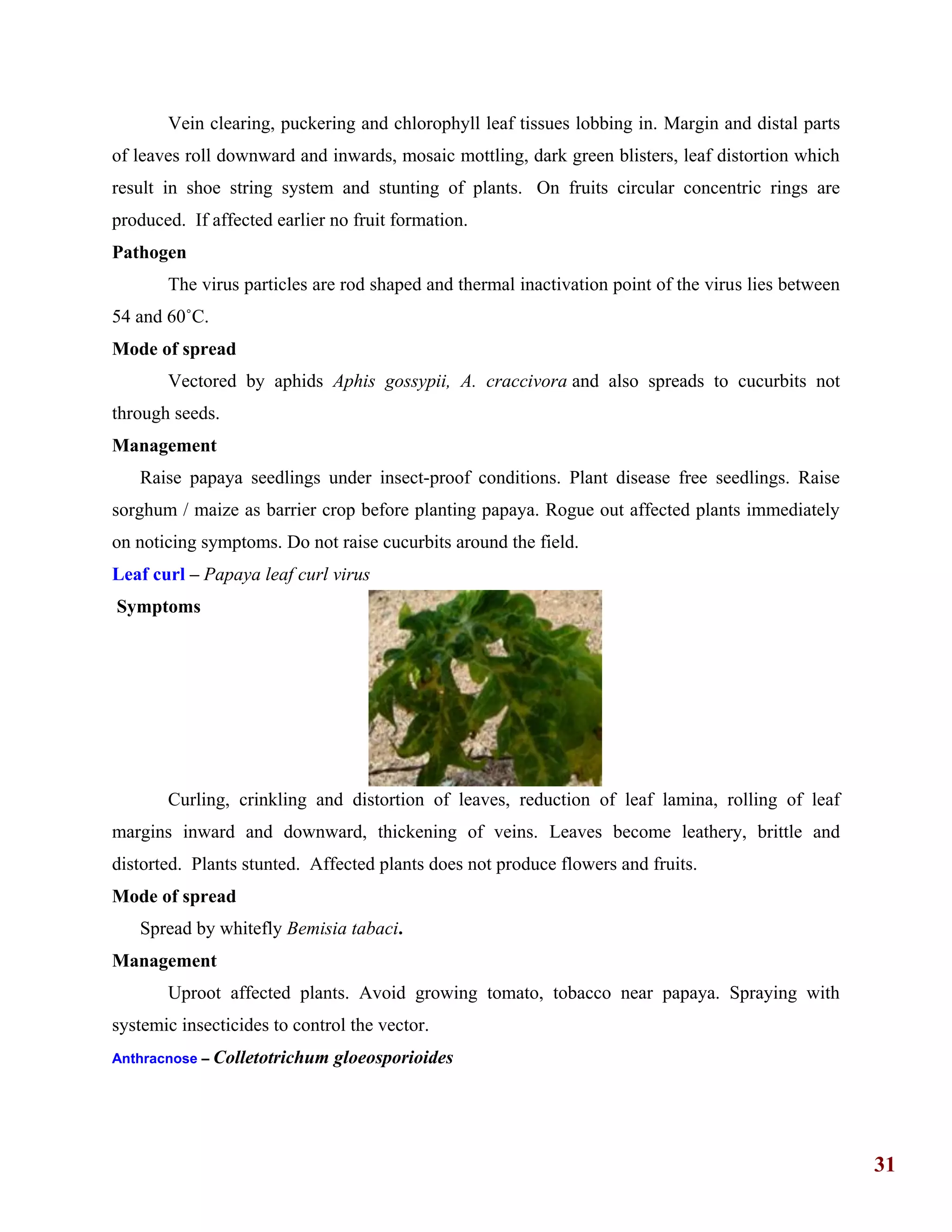 Disease of-horticultural-crops-their-management1 | PDF