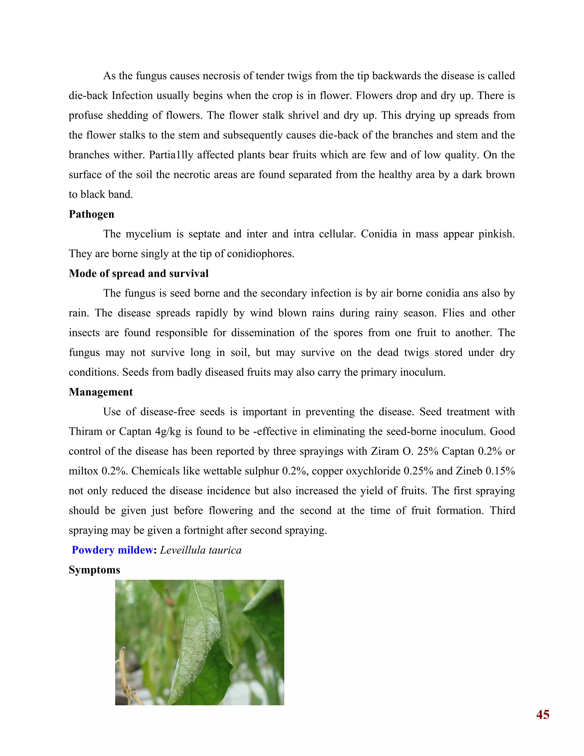 Disease of-horticultural-crops-their-management1 | PDF