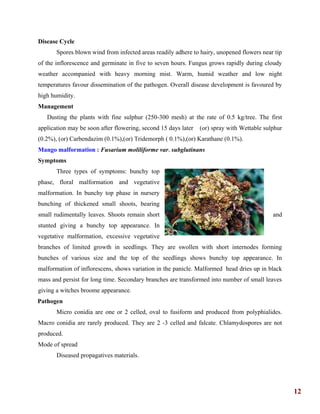 Disease of-horticultural-crops-their-management1 | PDF