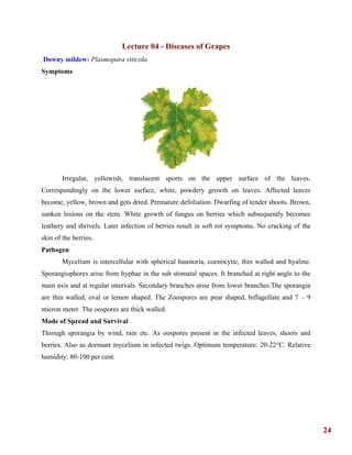 Disease of-horticultural-crops-their-management1 | PDF