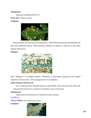 Disease of-horticultural-crops-their-management1 | PDF