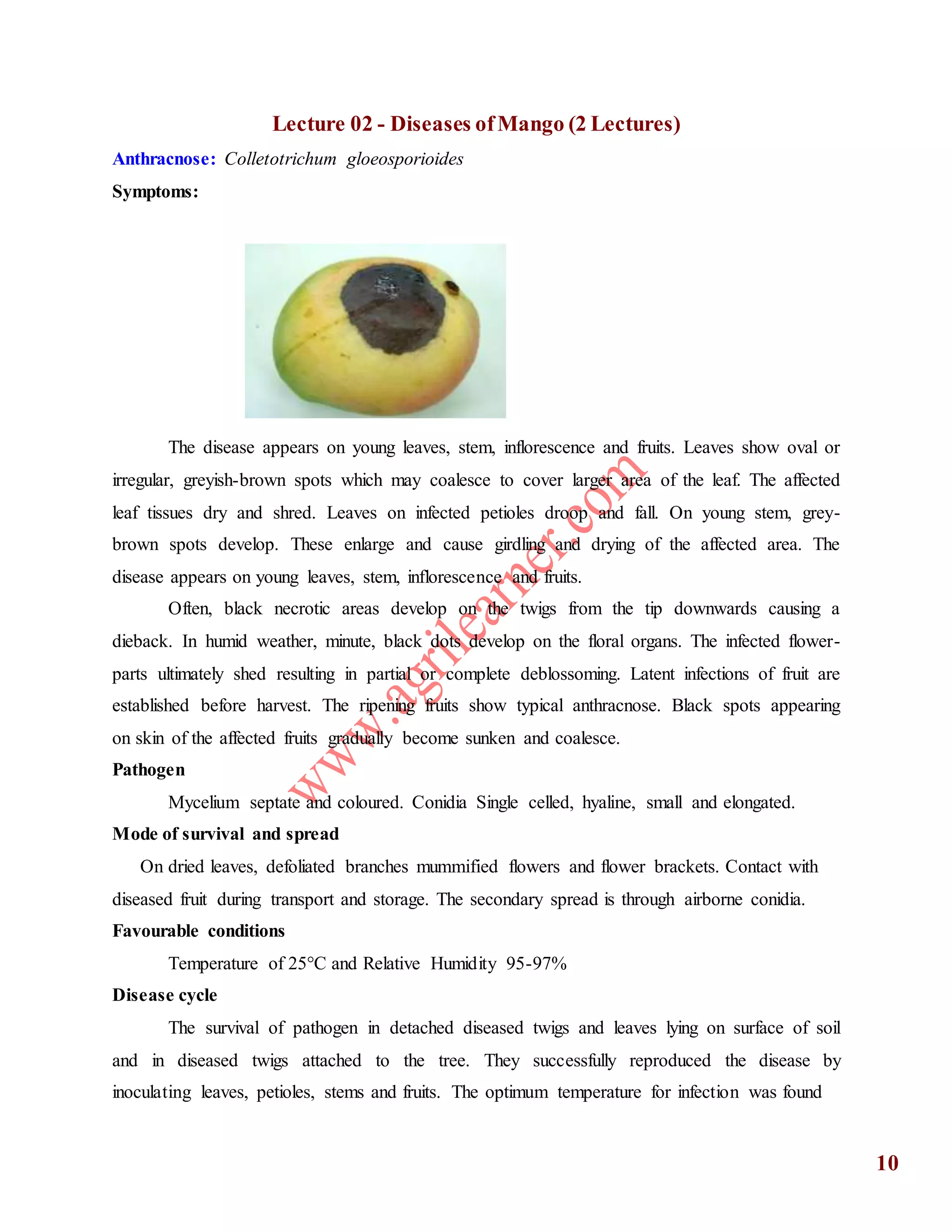 Disease of-horticultural-crops-their-management1 | DOCX