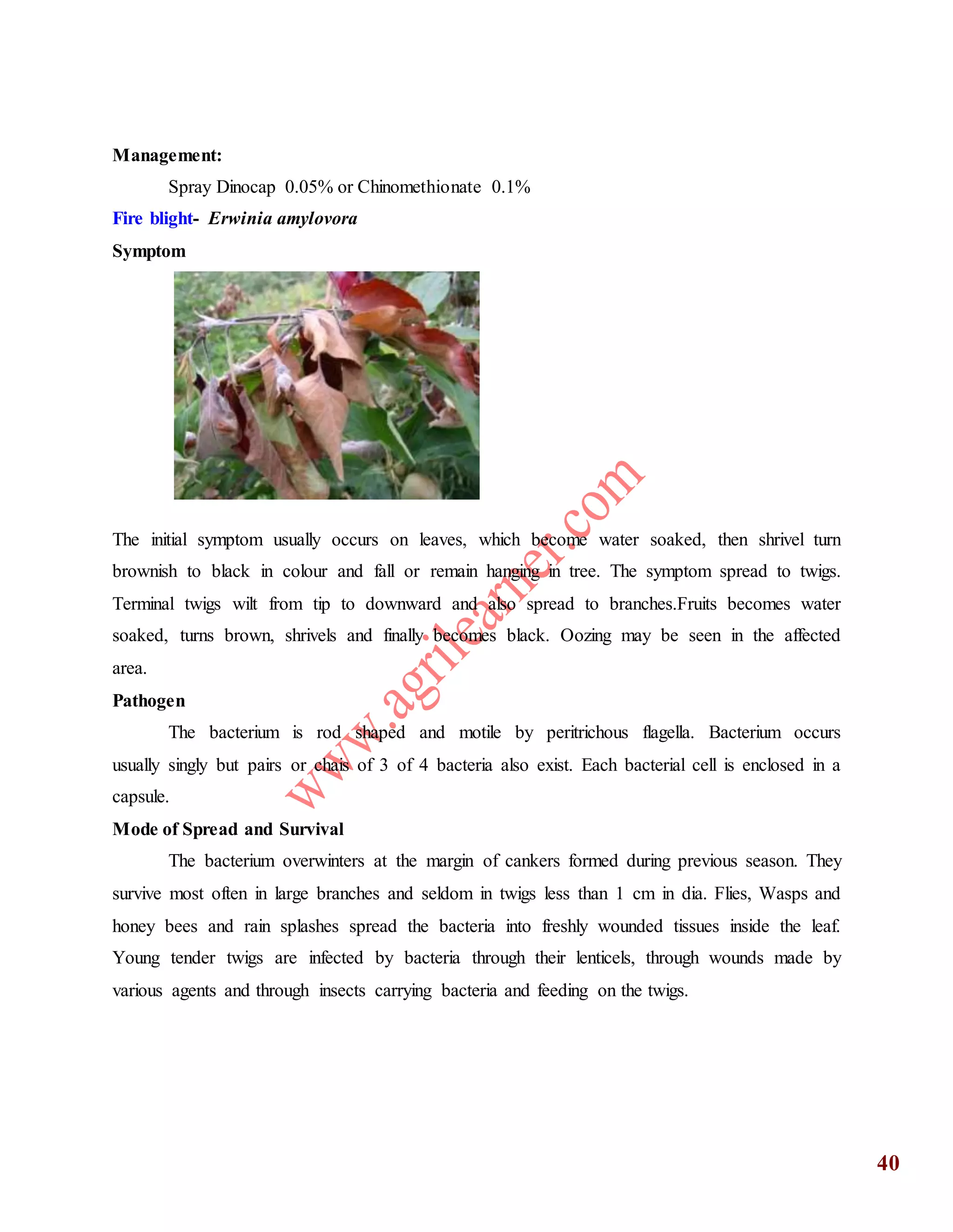 Disease of-horticultural-crops-their-management1 | DOCX