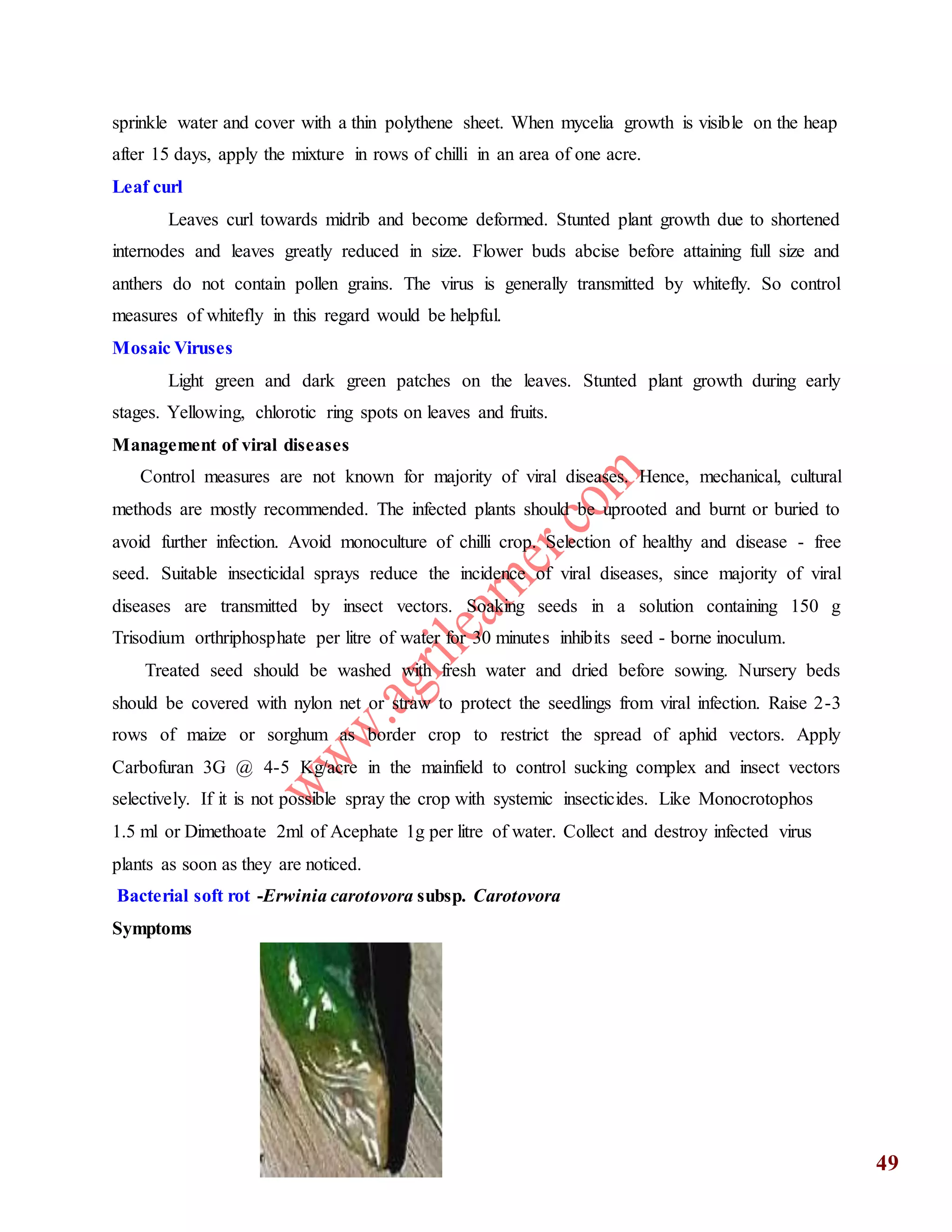 Disease of-horticultural-crops-their-management1 | DOCX