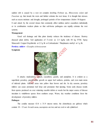 Disease of-horticultural-crops-their-management1 | DOCX