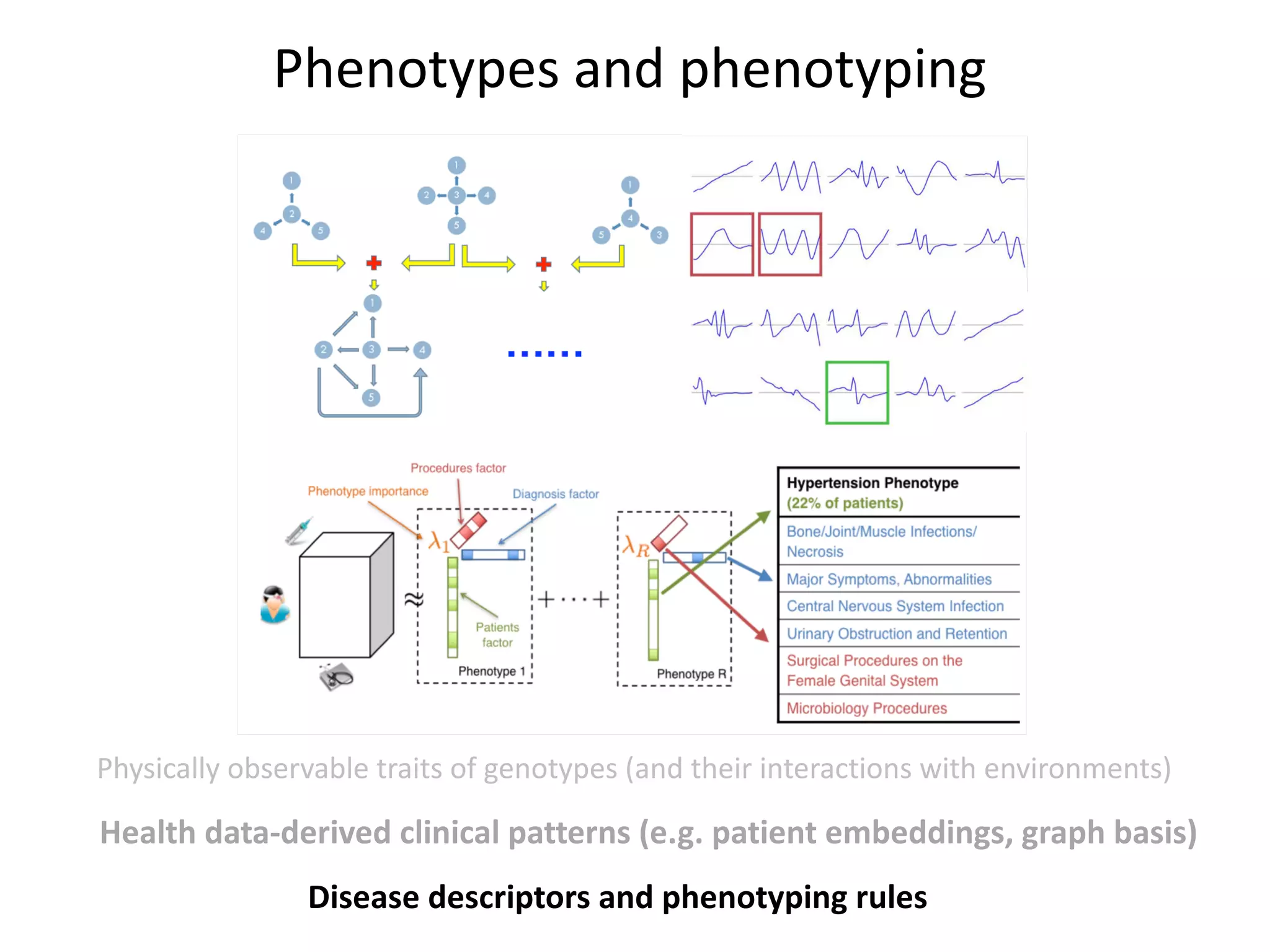 Data-driven Disease Phenotyping and Bulk Learning | PDF