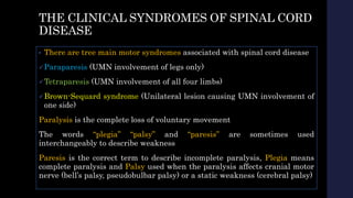 Disease affecting the spinal cord (myelopathy) | PPTX