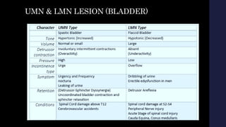Disease affecting the spinal cord (myelopathy) | PPT