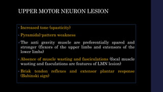 Disease affecting the spinal cord (myelopathy) | PPT