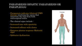 Disease affecting the spinal cord (myelopathy) | PPT