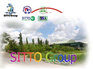 Disease and management for shrimp culture | PPSX