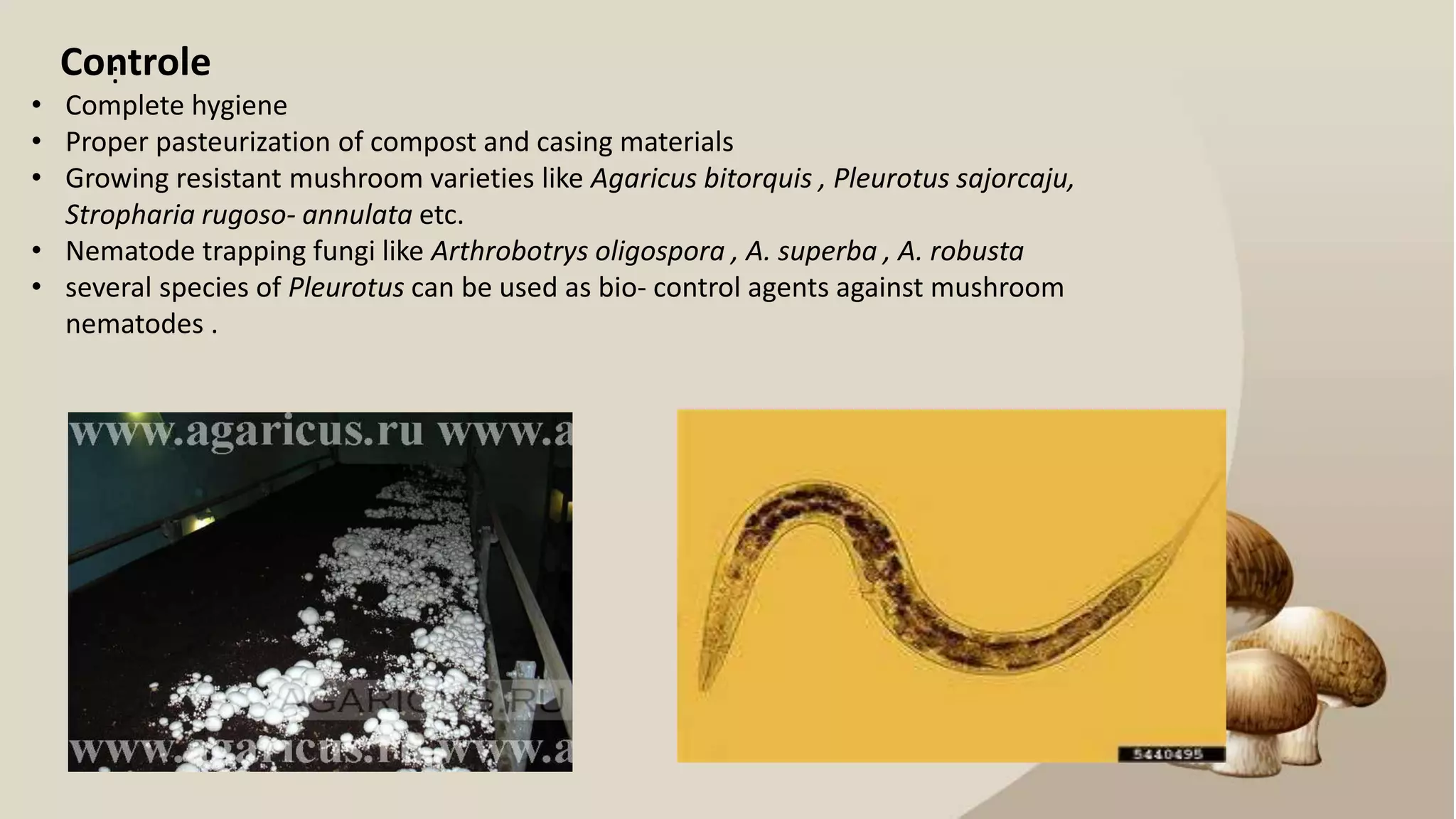 Disease and pest managment of mushroom | PPTX