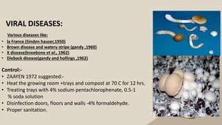 Disease and pest managment of mushroom | PPTX