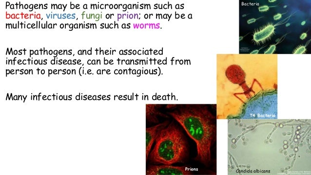 Disease Classification