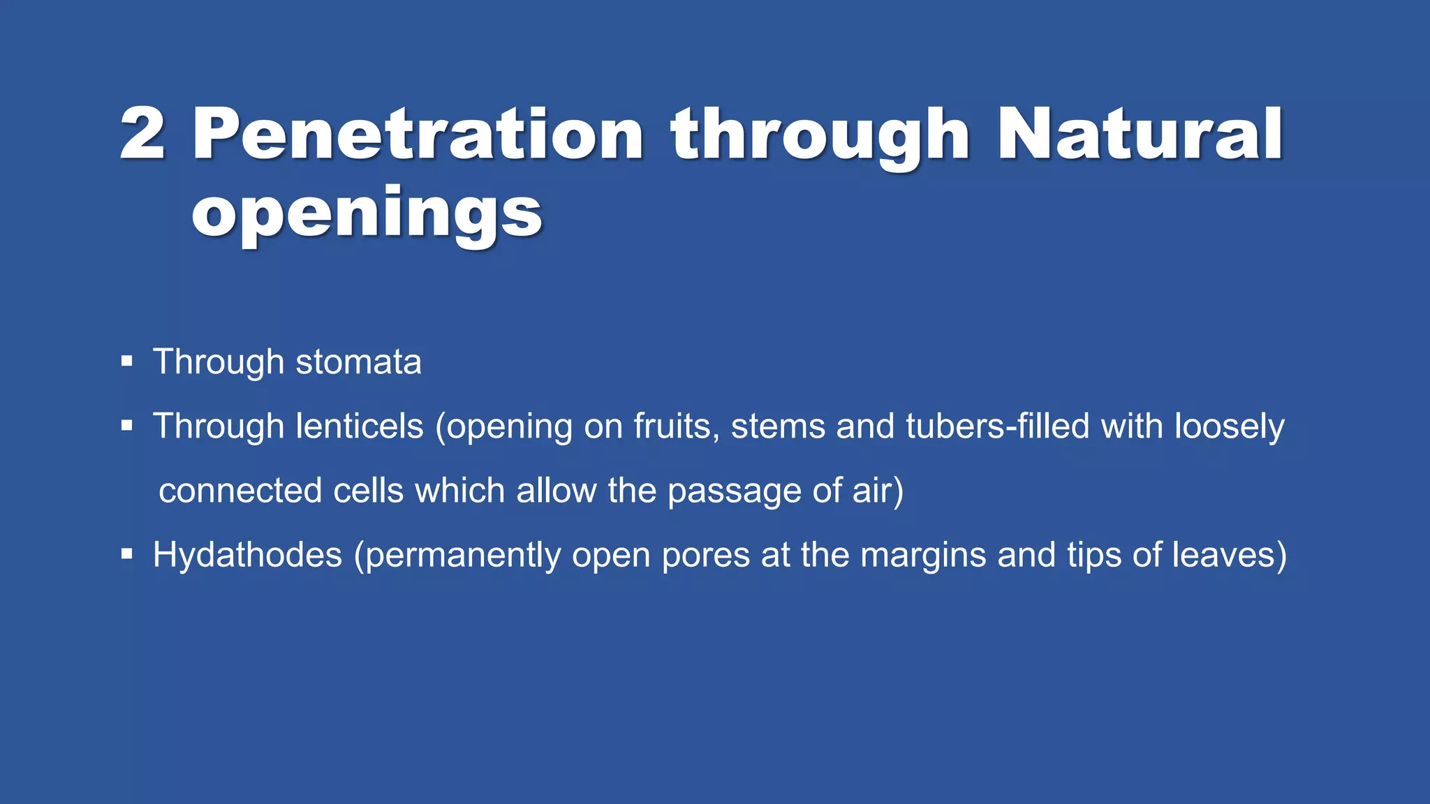 The Disease Cycle (Plant Disease) | PPTX
