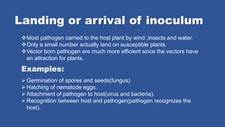 The Disease Cycle (Plant Disease) | PPTX