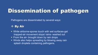 The Disease Cycle (Plant Disease) | PPTX