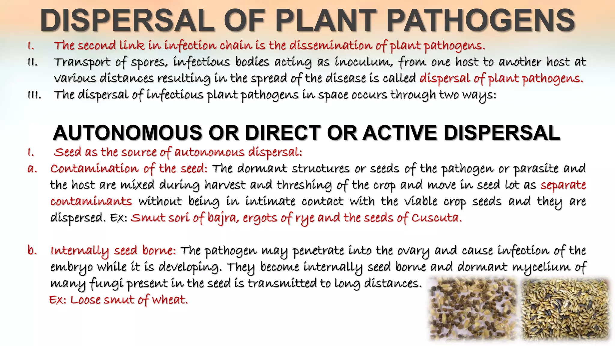 Disease cycle in plant diseases | PDF