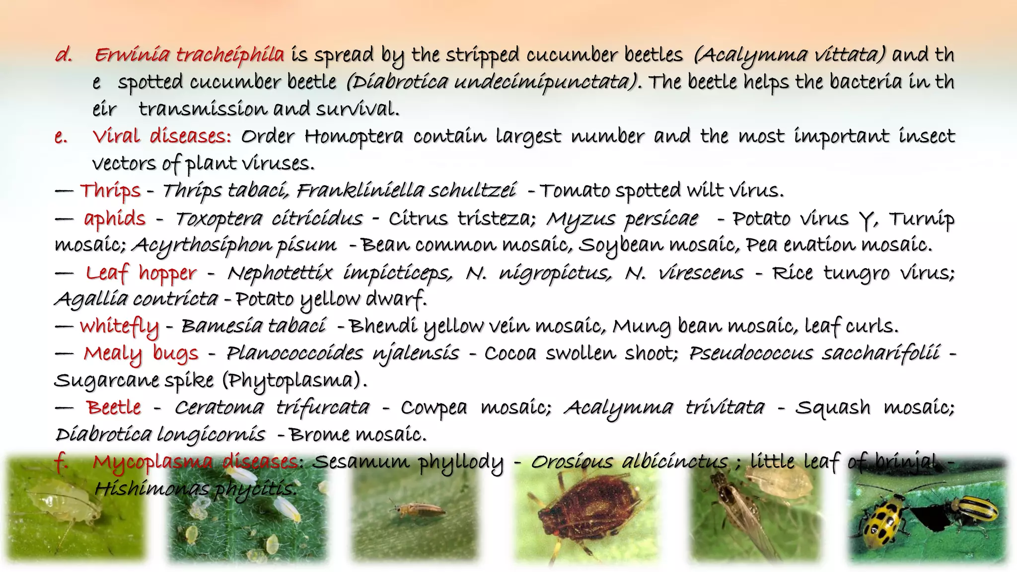 Disease cycle in plant diseases | PDF