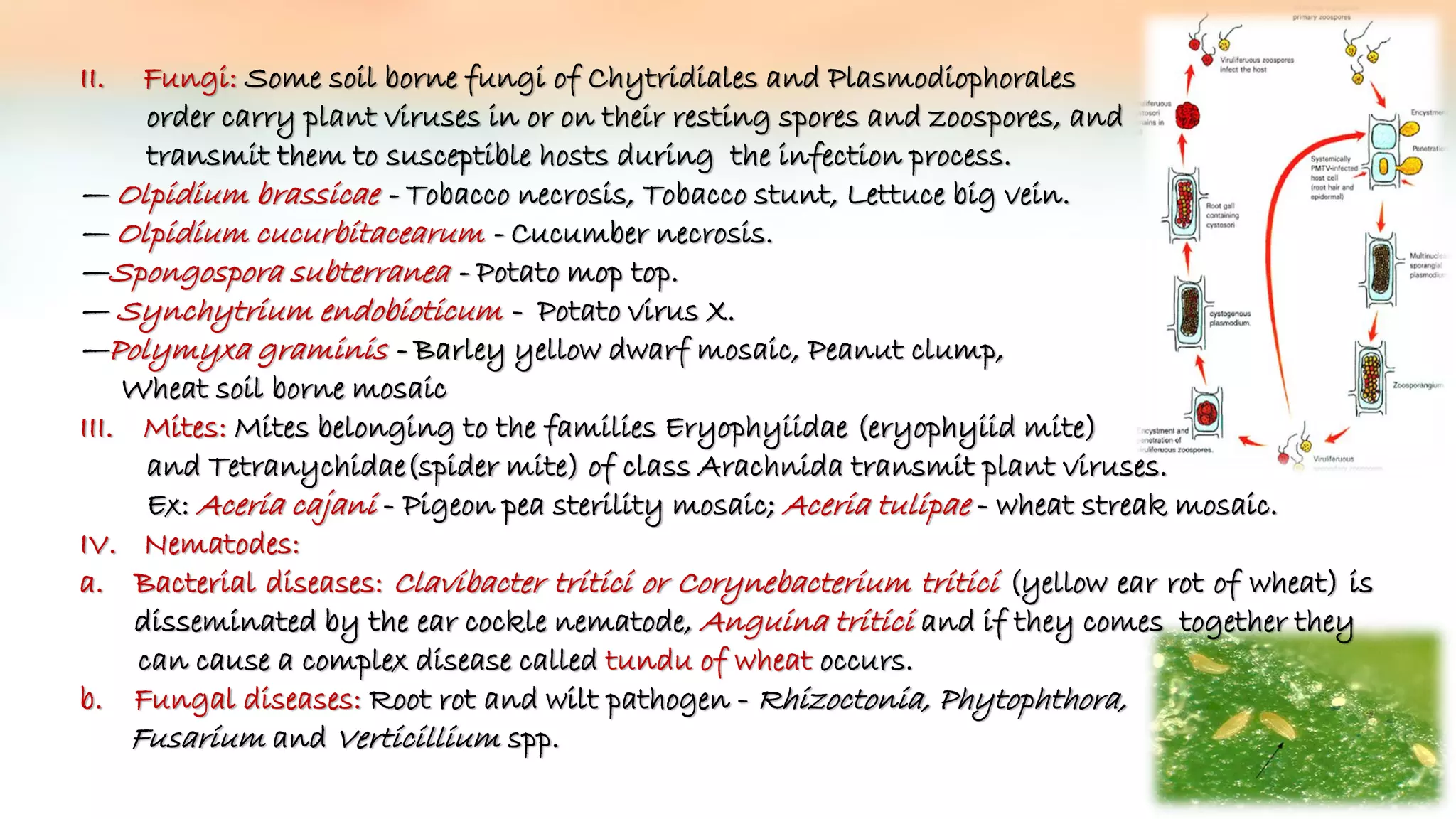 Disease cycle in plant diseases | PDF