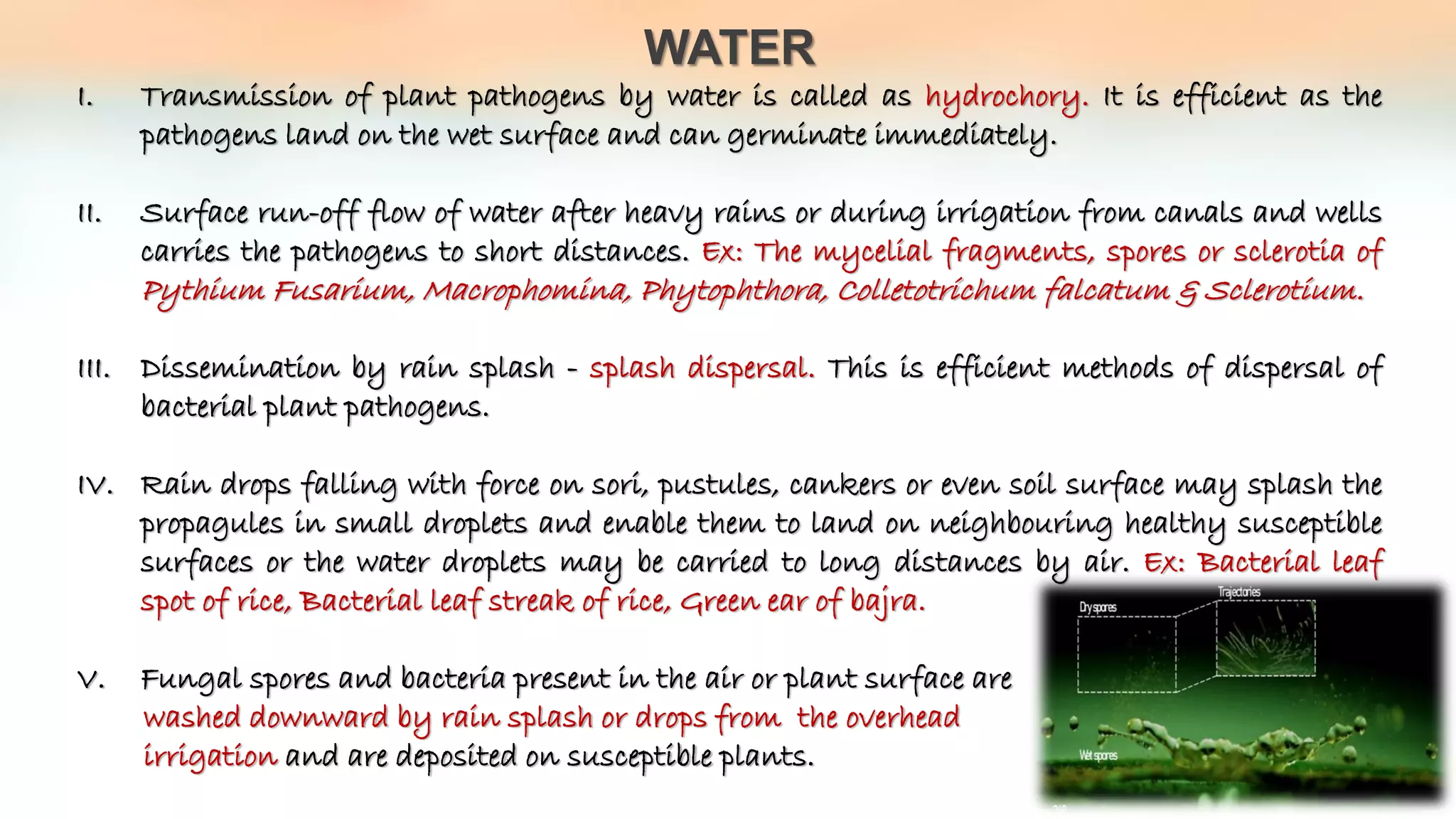 Disease cycle in plant diseases | PDF