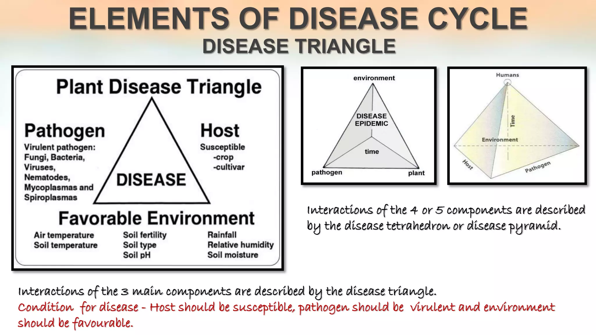 Disease cycle in plant diseases | PDF
