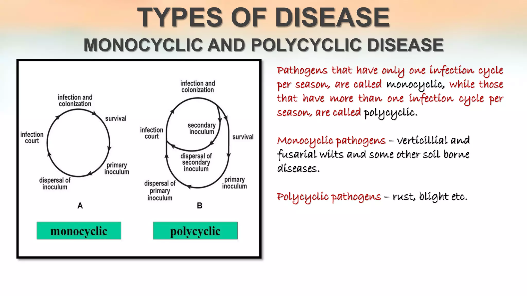 Disease cycle in plant diseases | PDF