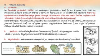 Disease cycle in plant diseases | PDF