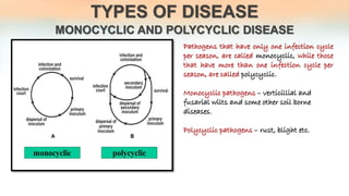 Disease cycle in plant diseases | PDF