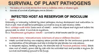 Disease cycle in plant diseases | PDF