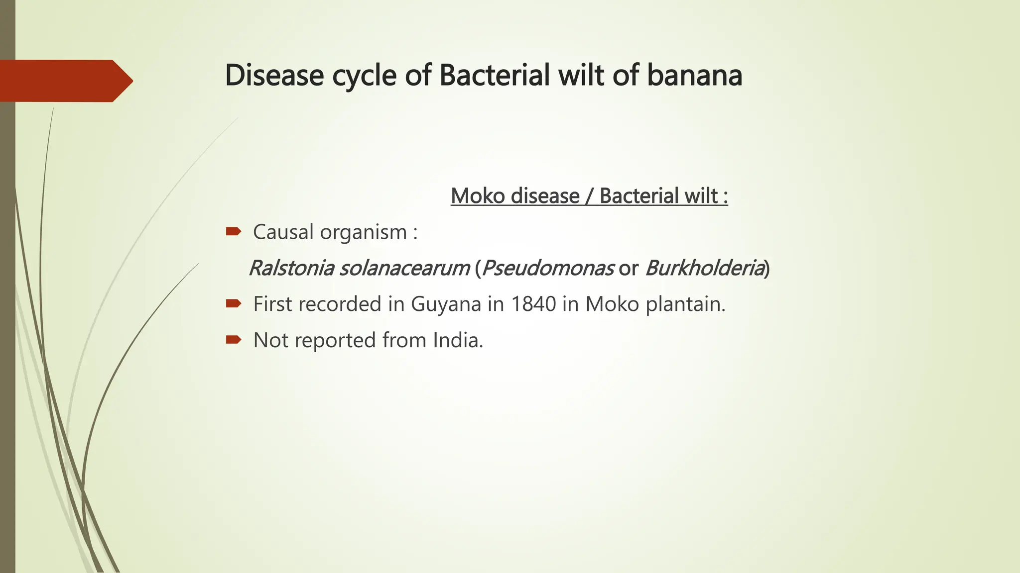 Disease cycle of Bacterial wilt of banana.pptx
