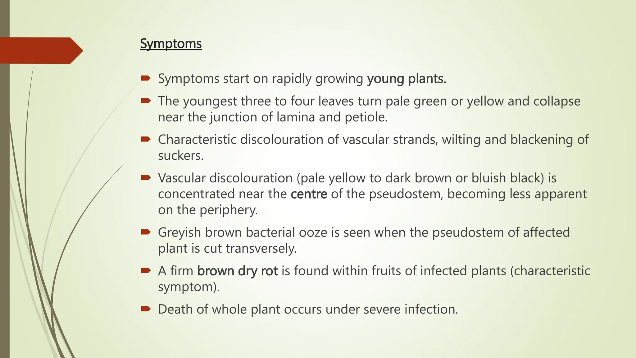 Disease cycle of Bacterial wilt of banana.pptx
