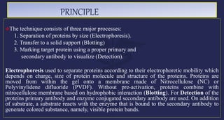 Disease diagnosis techniques | PPT
