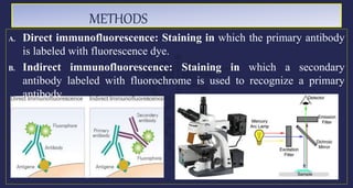 Disease diagnosis techniques | PPT