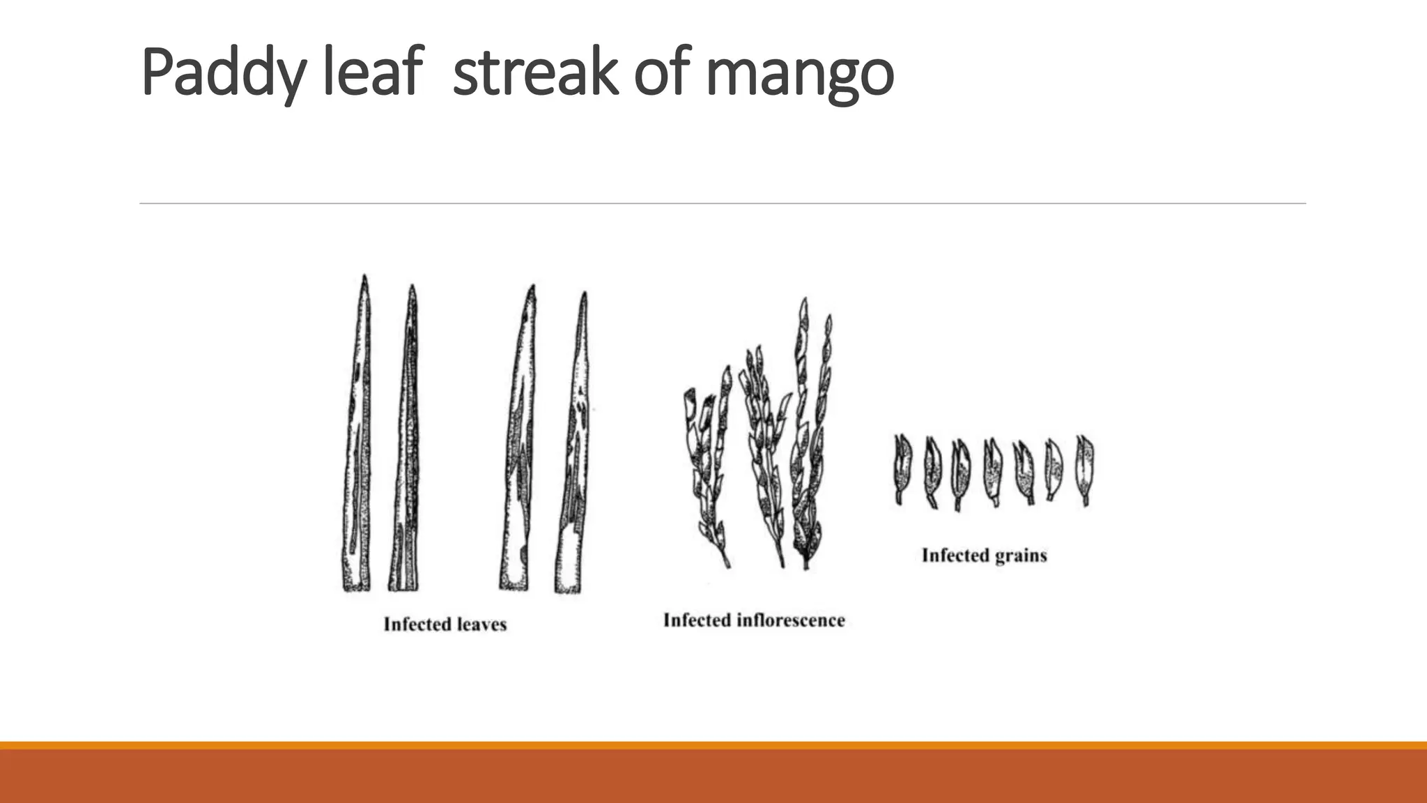 Disease diagrams.pptx