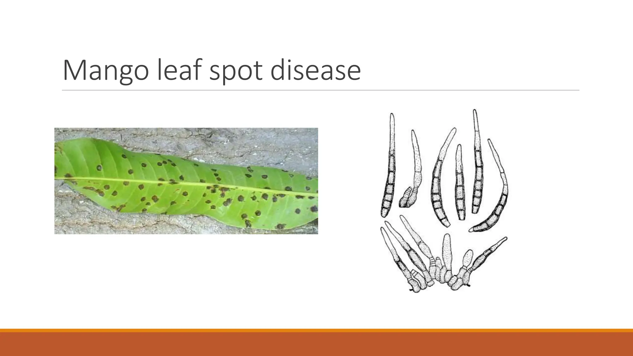 Disease diagrams.pptx