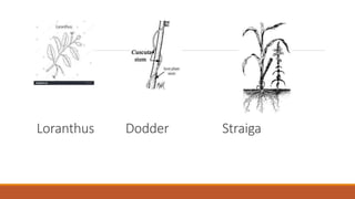 Disease diagrams.pptx