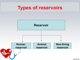 Disease dynamics - Disease transmission presentation | PPTX