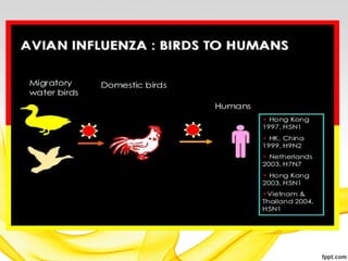 Disease for control elimination & eradication | PPTX