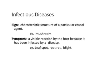 Plant Disease Identification and Life Cycle | PDF | Gardening | Home ...