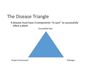 Plant Disease Identification and Life Cycle | PDF