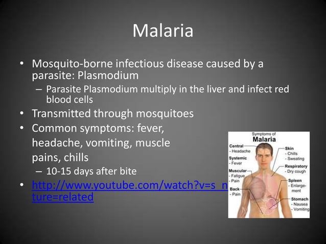 Disease Malaria Presentation | PPT