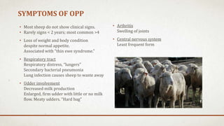 Disease management | PPTX