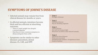 Disease management | PPTX