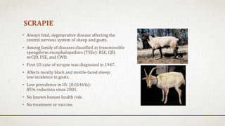 Disease management | PPTX
